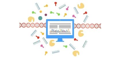 The Beginnings of an Electronic PCR | CollaborNation®